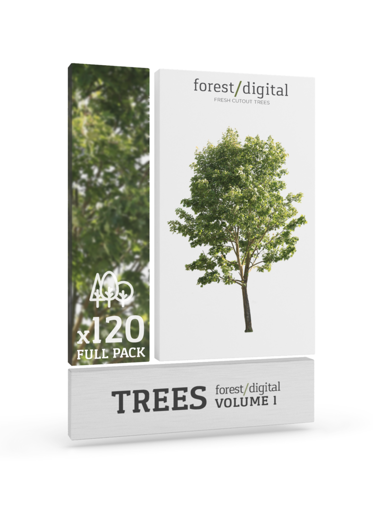 forest/digital | Spring trees vol. 2 – 150 Cutout trees - forestdigital ...